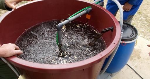 Comment préparer le thé de compost ? - Humboldt Seeds