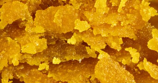 The 10 best strains for extraction and hash making - Humboldt Seeds