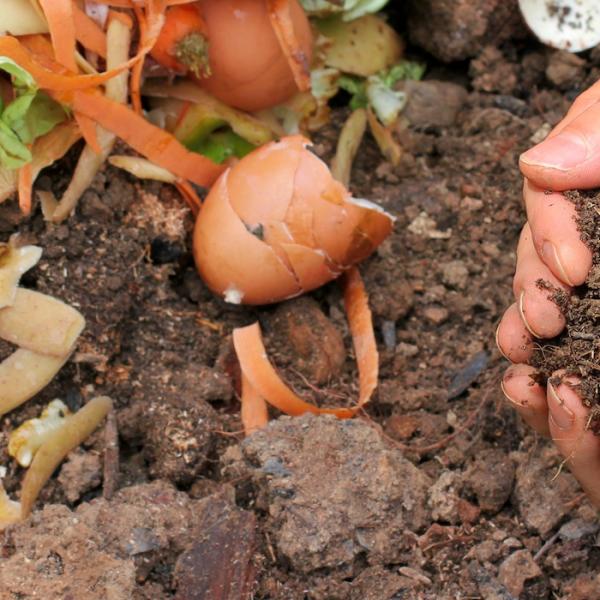 Comment préparer le thé de compost ? - Humboldt Seeds