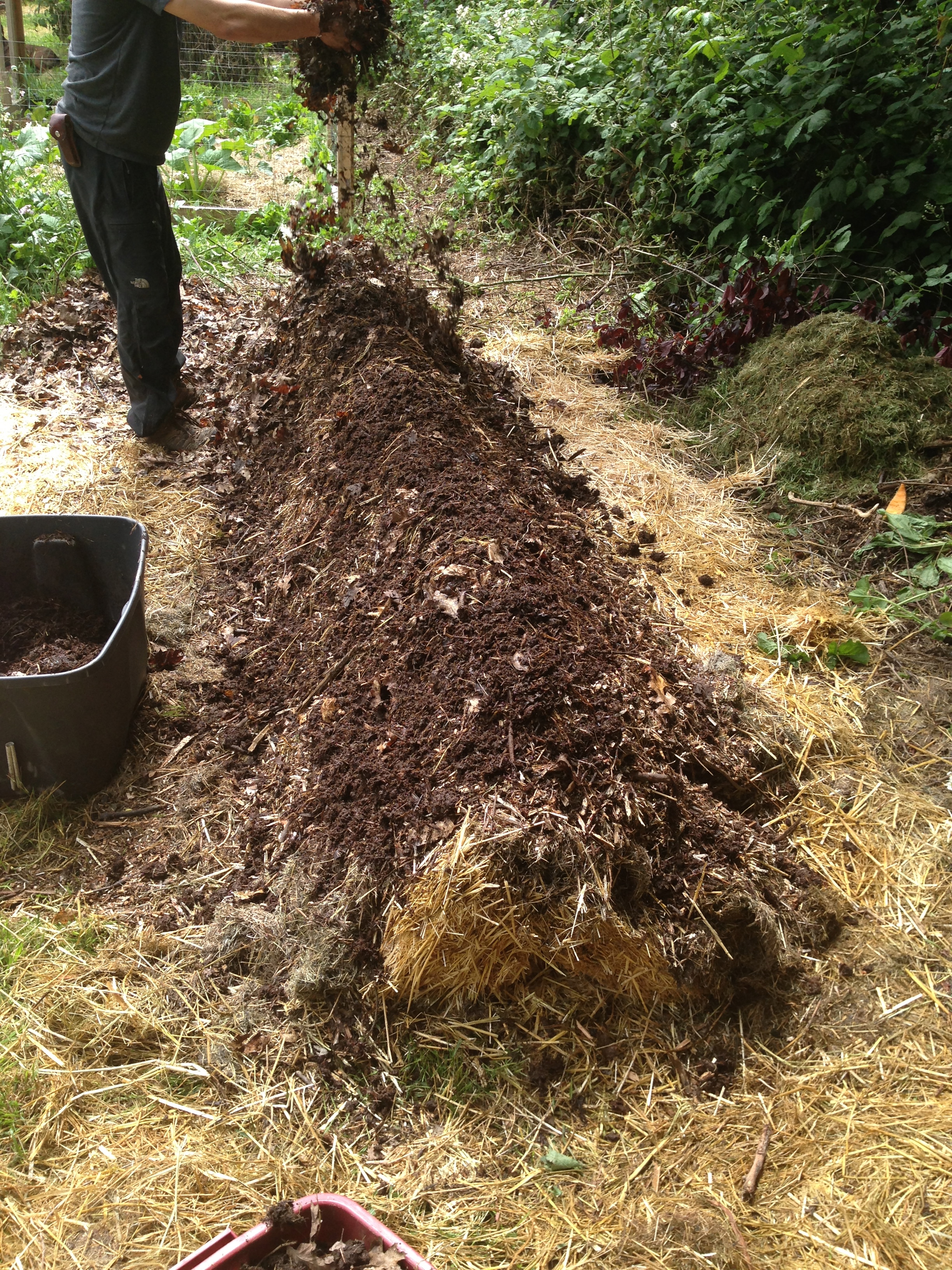 Humboldt Seeds photo gallery - Biodynamic Supersoil